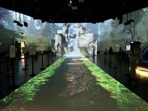 Dreamchasers Interactive | Emmersive Experiential Exhibition 2019